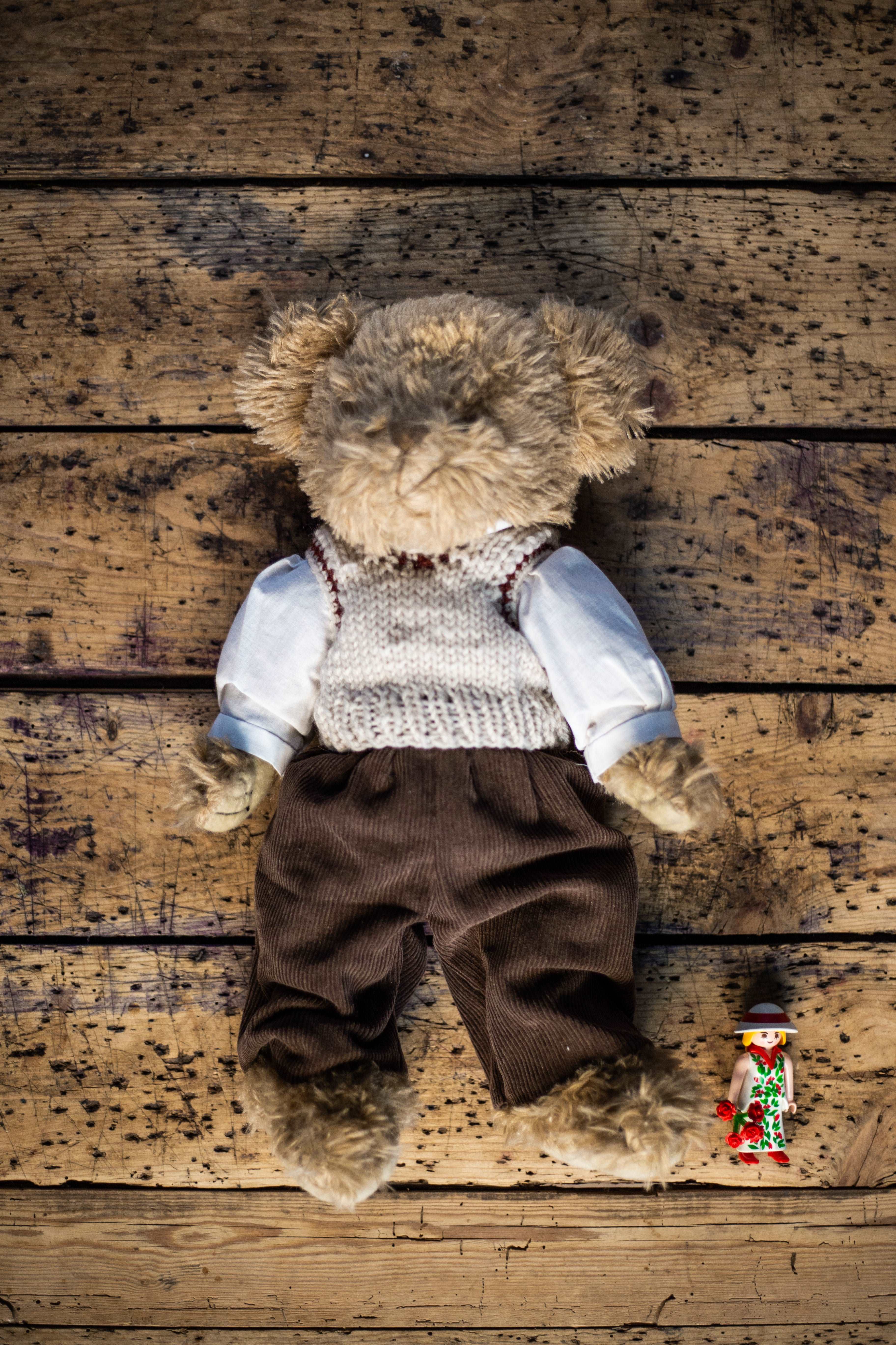 Oso de peluche – Sally Hambleton